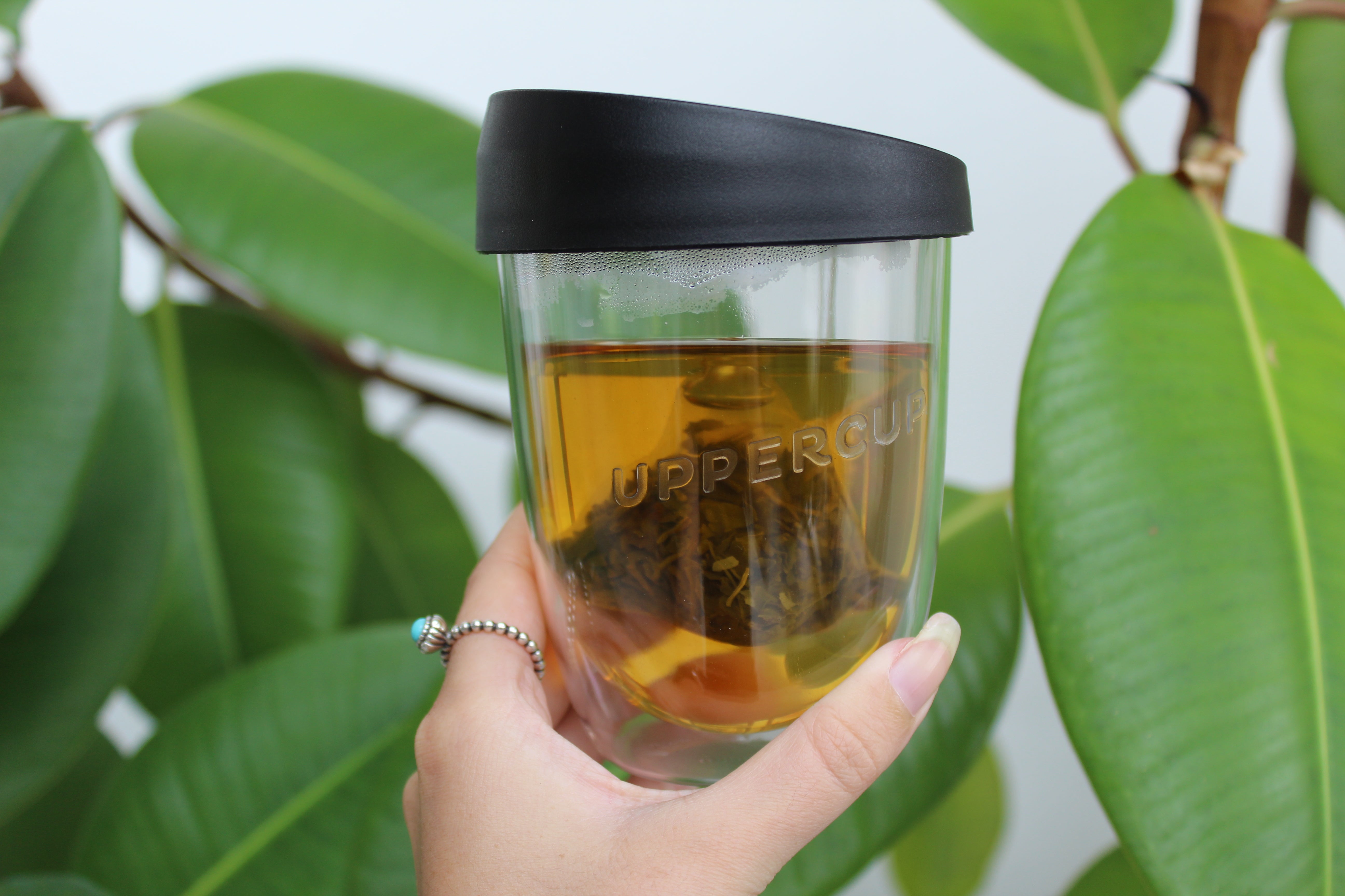 A Guide To Green Tea & Why You Should Be Drinking It – Grounded Goods